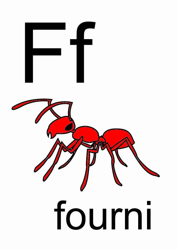 Bild f - Kostenlose Bilder Zum Ausdrucken - Bild 25287.