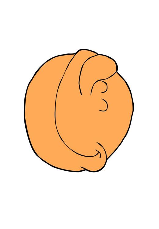 Bild froh - Kostenlose Bilder Zum Ausdrucken - Bild 15197.