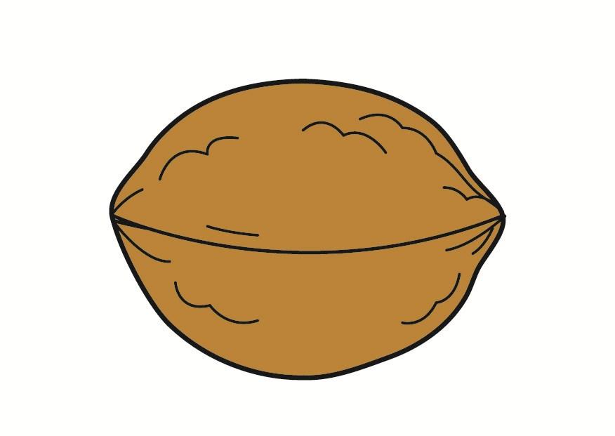 Bild Nuss - Kostenlose Bilder Zum Ausdrucken - Bild 23345.