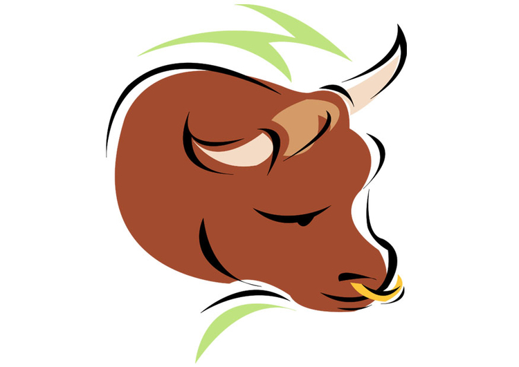 Bild Stier - Kostenlose Bilder Zum Ausdrucken - Bild 21284.