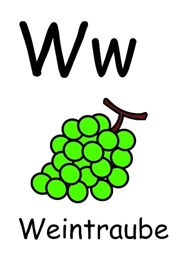 Clipart von w mit einer Abbildung von grünen Trauben und dem Text ...