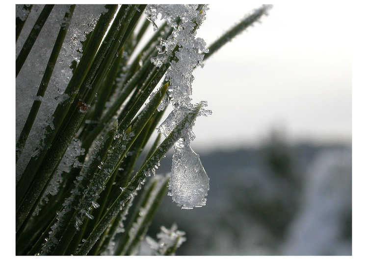 Foto Eis - Kostenlose Fotos Zum Ausdrucken - Bild 20524.