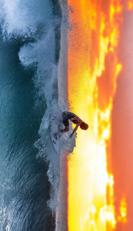 Foto surfen - Kostenlose Fotos Zum Ausdrucken - Bild 30162.