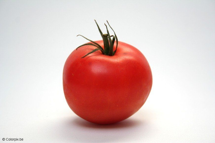 Foto Tomate - Kostenlose Fotos Zum Ausdrucken - Bild 5316.